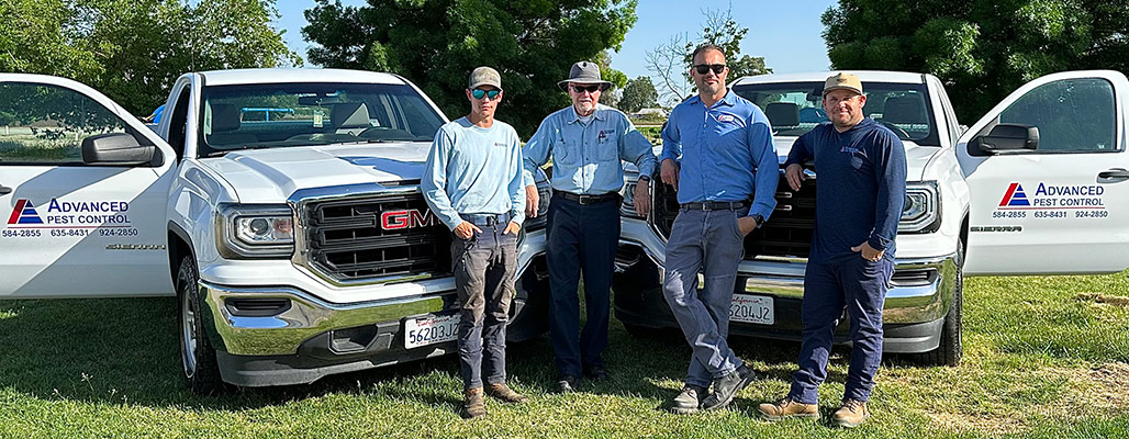 Advanced Pest Control Services | Effective, Reliable & Affordable ...